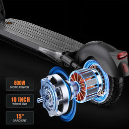 Ruitoo RT6 Electric Scooter, 800W Foldable e-scooter IPX4 Max 35-40 km ...